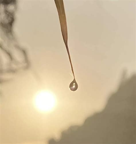 ふいに見つけた宝物 ｜ 七花ファームダイアリー