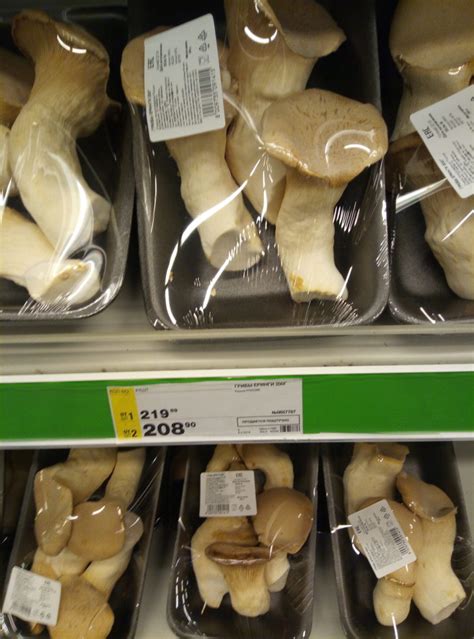 Какие свежие грибы можно купить в магазине. - О продуктах
