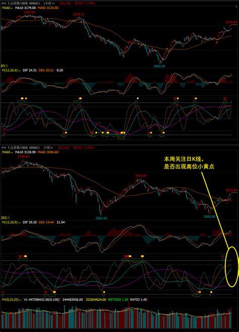 蓝筹白马股，拿稳坐好！ 知乎