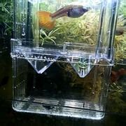 Buy Zig Double Layer Transparent Fish Breeding Tank Versatile Aquarium