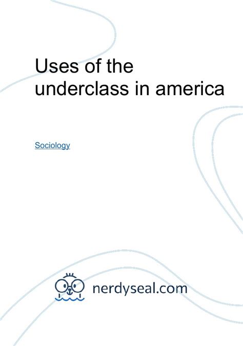 Uses Of The Underclass In America 269 Words Nerdyseal