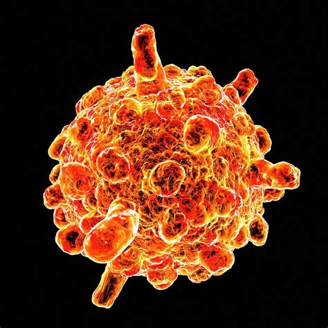 Infantile Gastroenteritis Virus 2 Photograph By Mehau Kulyk Pixels