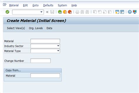 Master Data In SAP Go Coding