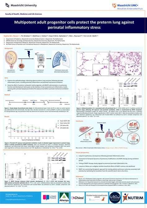 Multipotent Adult Progenitor Cells Protect The Preterm Lung Against