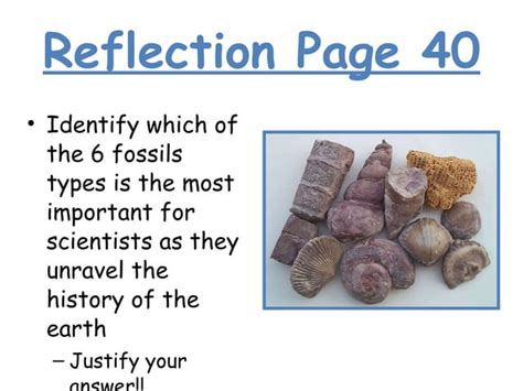 Fossils Ppt