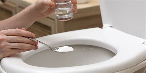 Beerput Ledigen Wanneer En Waarom Ruimdienst Dekeyser