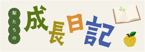 関 果樹園について 富山で呉羽梨の直売所をお探しなら関 果樹園へ