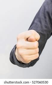 4 Shishido Shi Images, Stock Photos & Vectors | Shutterstock