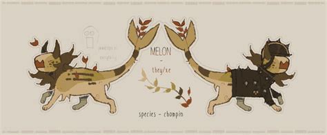 Melon Ref By Ayumiiisafox On Deviantart