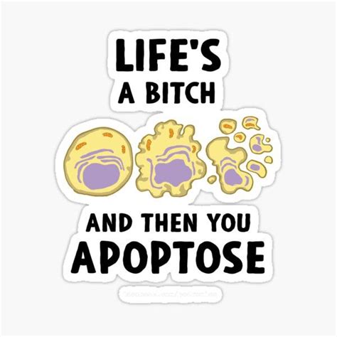 Biology Stickers For Sale Artofit
