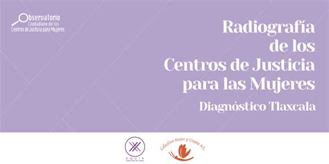 Radiografía De Los Centros De Justicia Para Las Mujeres Informe