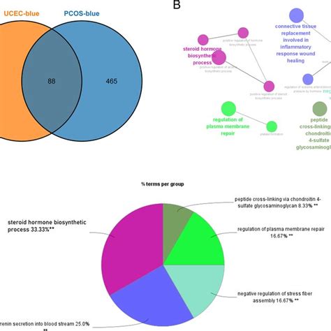 Enrichment Analysis For Cluego A By Overlaying Them The Common Genes Download Scientific
