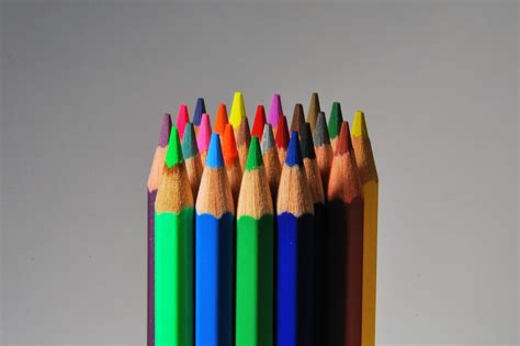 무료 이미지 미술 연필 학교 교육 외딴 녹색 무승부 목재 그림 디자인 펜 그룹 노랑 빨간 푸른