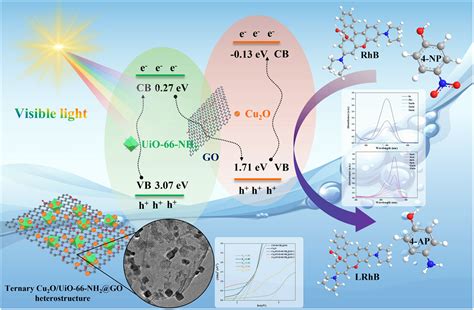 Applied Organometallic Chemistry Vol 39 No 2