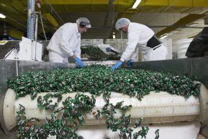 Buscás trabajo Arcor ofrece empleo cuáles son los requisitos y cómo