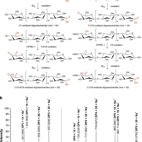 Identification Of Ctpmo1 Soluble Reaction Products With Pasc As