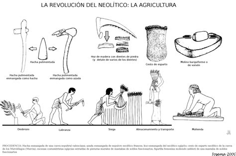 ¿cómo Era La Vida Del Hombre En El Neolítico El Legado Prehistórico