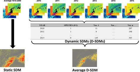 Differences Between Static And Averaged Dynamic Species Distribution
