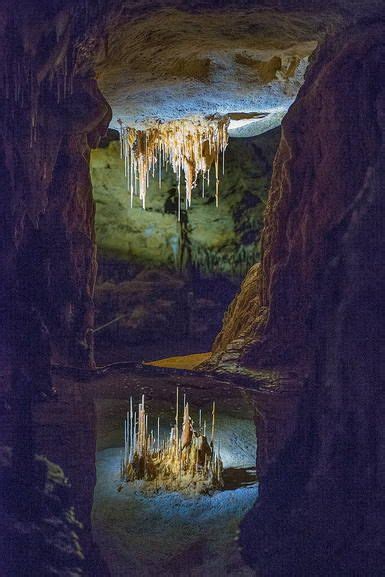 Australian Fossil Mammal Sites Riversleigh Naracoorte World