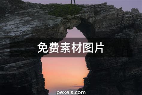 1000000张最精彩的“人与猫”图片 · 100免费下载 · Pexels素材图片