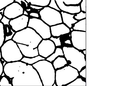 error in pixel classification result usage and issues image sc forum