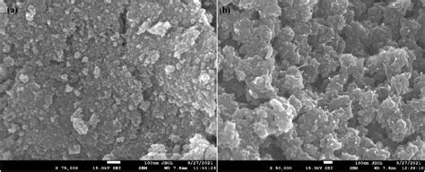 Sem Micrographs Of A Co 1 X Zn X Fe 2 O 4 X 05 Nanodot And B