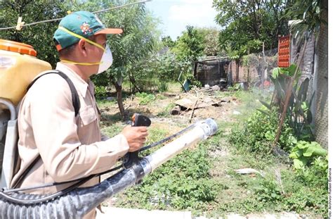 Van Desacelerando Los Casos De Dengue En Oaxaca 6 Casos En Una Semana