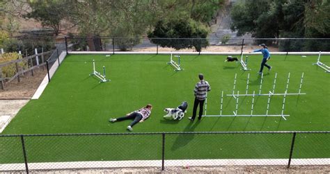 Ecolawn Sb Artificial Grass