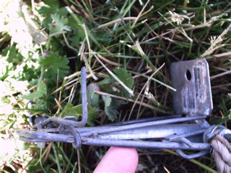 How To Trap And Kill Gophers 5 Steps Instructables