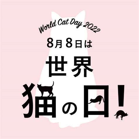 8月8日は世界猫の日！ イベント 二子玉川 蔦屋家電 蔦屋書店を中核とした生活提案型商業施設