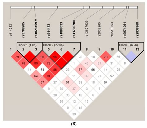 A Study Of Single Nucleotide Polymorphisms Of The Slc19a1rfc1 Gene In