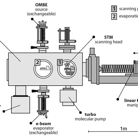 4 Principle Of The Beetle Type Stm The Body Of The Stm Consisting