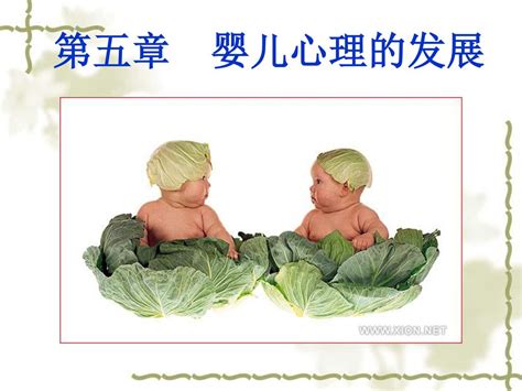 发展心理学 社会工作系心理学教研室 丁 海 燕 Ppt Download