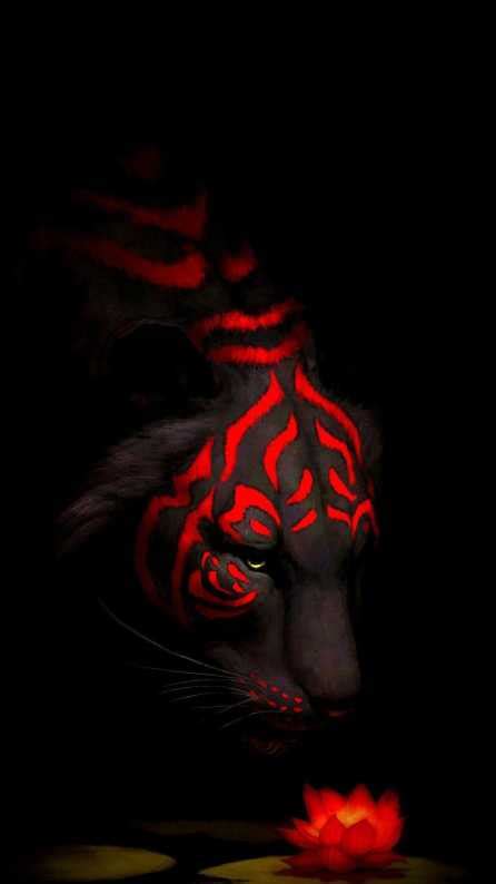 Hd 4k Tiger Mobile Wallpaper Wallpapers For Mobile