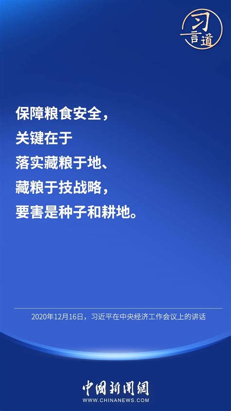 【大国“粮”策】习言道 “始终绷紧粮食安全这根弦”鲁媛王璐瑶三审