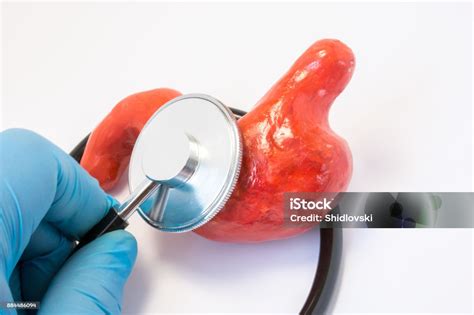위장의 청진 기 및 3d 모양 장갑 착용 하는 의사의 손 사진 아이디어 어디 의사 또는 일반 개업의 수술 전 진단 또는 질병과