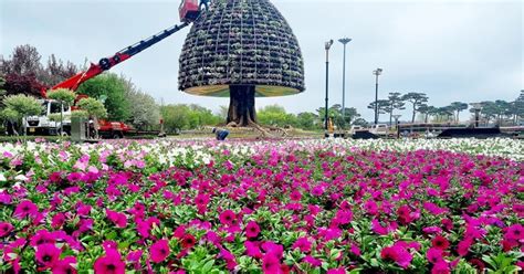 제26회 함평나비대축제 26일 개막나비 25만 마리 훨훨