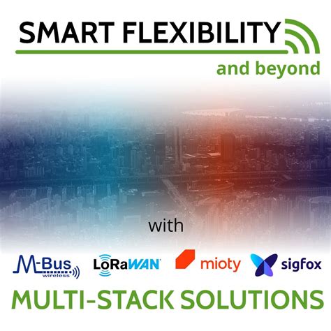iot project iiot lpwan wirelesscommunication lorawan wmbus mbus