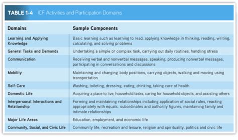 Lifespan Midterm Flashcards Quizlet
