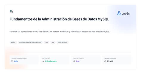 Dominar Los Fundamentos De La Administración De Bases De Datos Mysql
