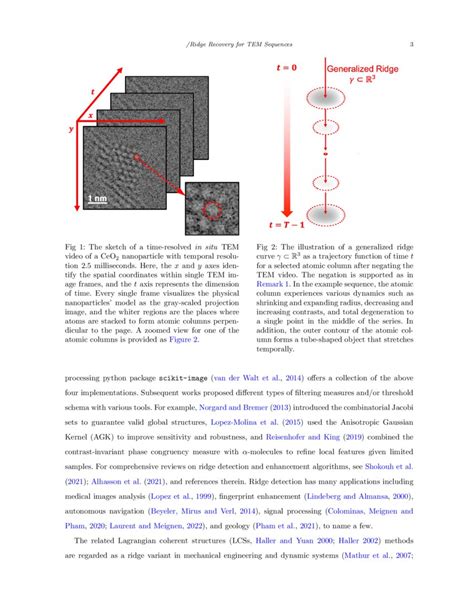 Dynamic Atomic Column Detection In Transmission Electron Microscopy