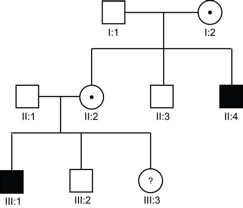 Genetics An Introduction To Risk Analysis In X Linked Recessive Disorders