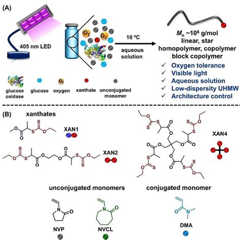安泽胜团队《angew Chem》 耐氧性光酶raft聚合合成基于非共轭单体的超高分子量聚合物 吉林大学超分子结构与材料全国重点实验室