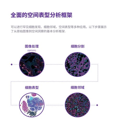 Phenoimager Fusion 自动定量空间表型分析仪 北京斯克尔基因生物技术有限公司