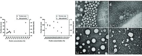 Particle Size And Zeta Potential Of The Nanoparticles Prepared With Download Scientific Diagram