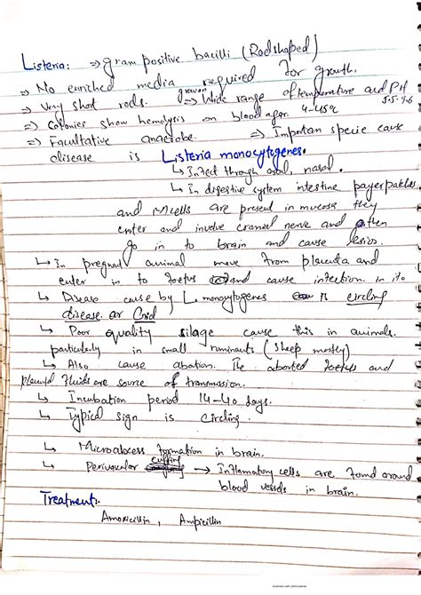Bacteriology Notes Medicine Clinic 1 Studocu