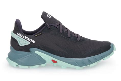 SALOMON ALPHACROSS 4 GTX W Comunello