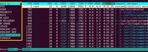 the “htop” command in linux [7 practical examples] linuxsimply