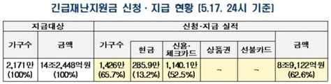 정부 긴급재난지원금 657 지급완료 1426만가구·8조9000억원 수령 아시아경제