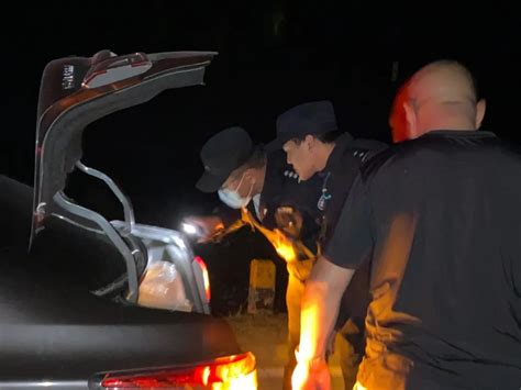 一线警务 森警大队：开展＂昆仑2023 ＂夜查行动澎湃号·政务澎湃新闻 The Paper